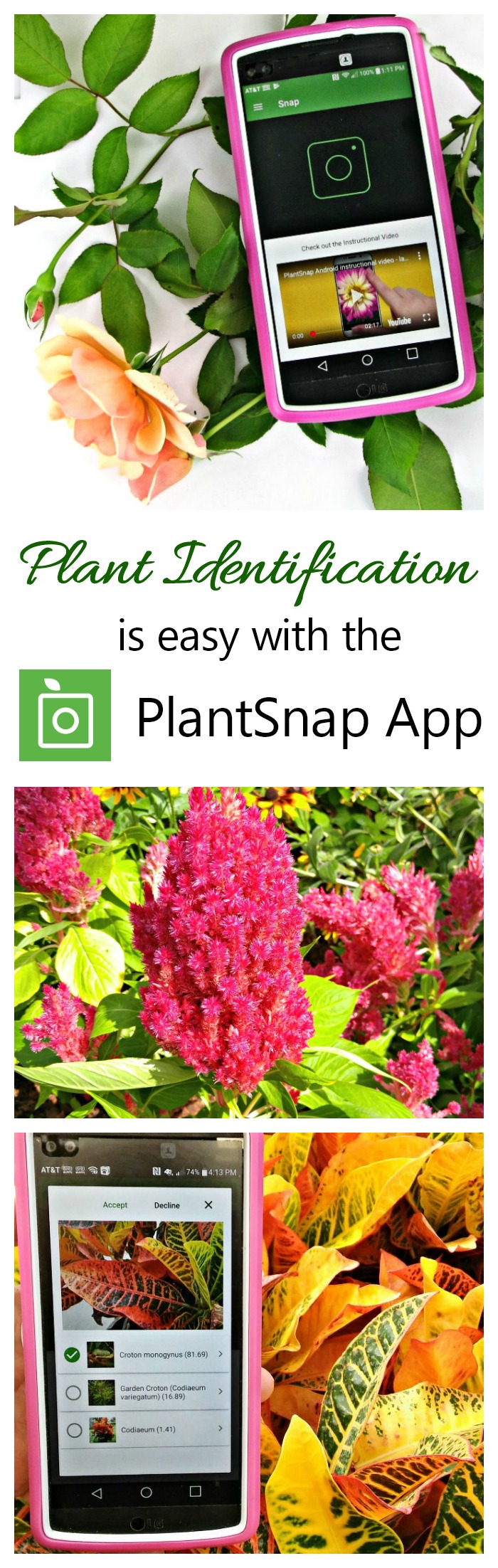 PlantSnap Mobile App Tips And Tricks For Best Results