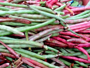 Growing Green Beans - Bush Beans vs Pole Beans