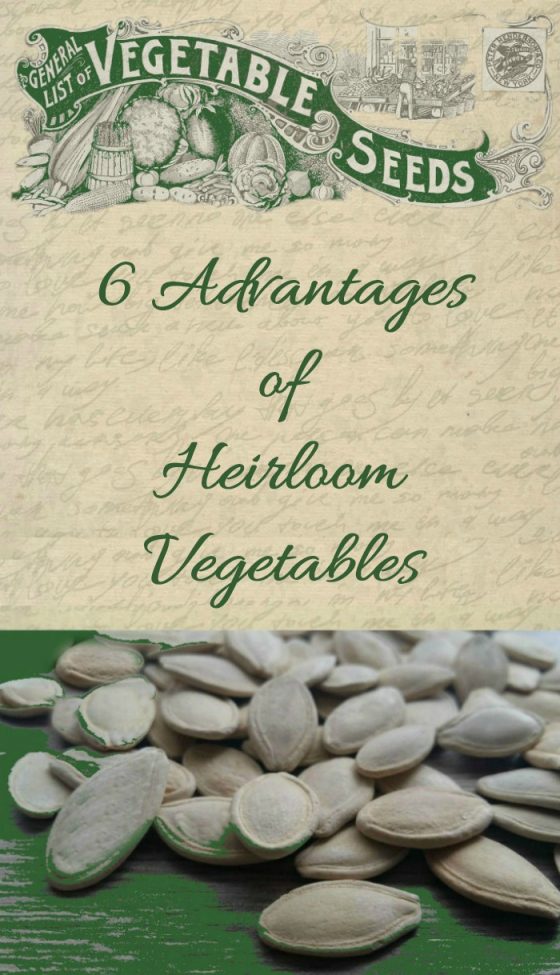 Why Heirloom Vegetables? 6 Advantages for Growing Heirloom Seeds