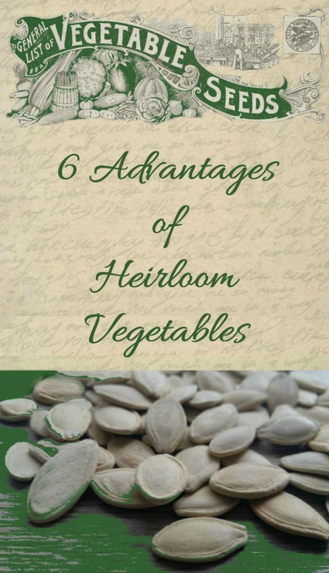 Why Heirloom Vegetables? 6 Advantages for Growing Heirloom Seeds