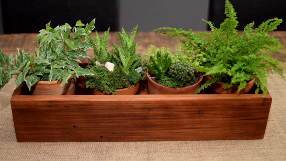 Covering Drainage Holes in Pots - How to Keep Soil from Washing Out