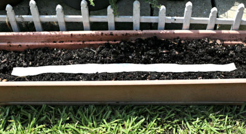 Make Your Own Seed Tape - Homemade Seed Tapes From Toilet Paper