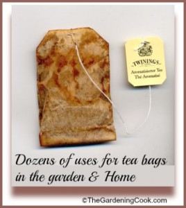 Using Tea Bags - Recycling Tips for Home and Garden use