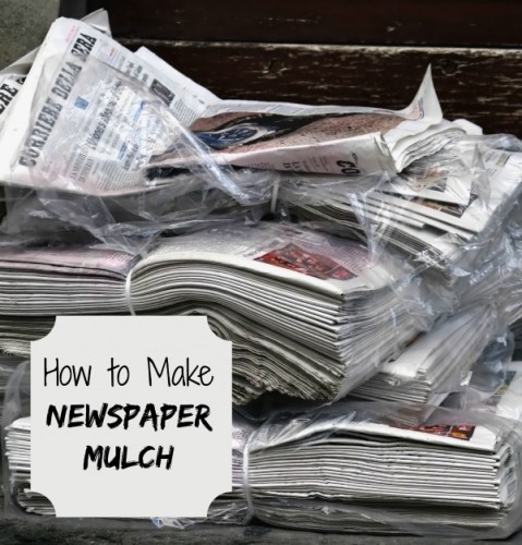 Newspaper Mulch - Control Weeds and Help Your Soil