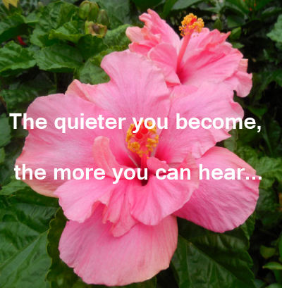 Inspirational Flower Quotes to Motivate - The Gardening Cook