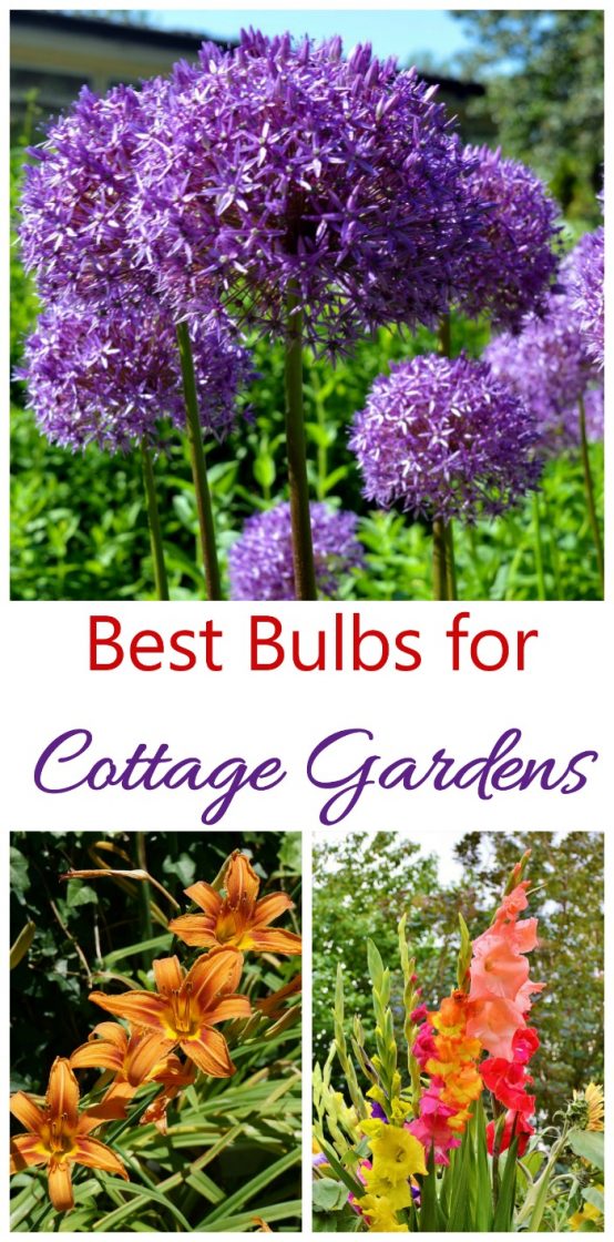 Cottage Garden Plants - Perennials Annuals & Bulbs for Cottage Gardens