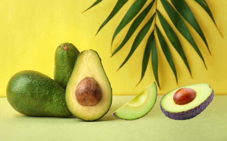 Florida Avocado - with Light Green Skin - Slimcado Facts and Nutrition