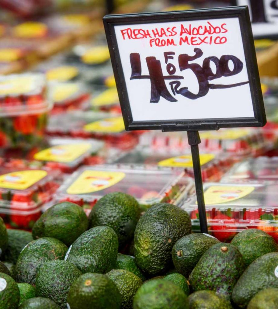 Florida Avocado - with Light Green Skin - Slimcado Facts and Nutrition