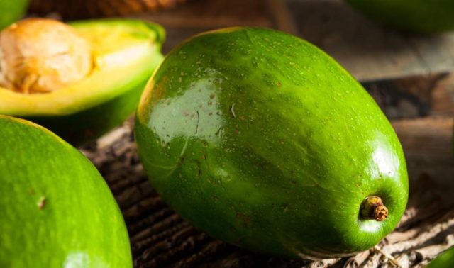 Florida Avocado - with Light Green Skin - Slimcado Facts and Nutrition