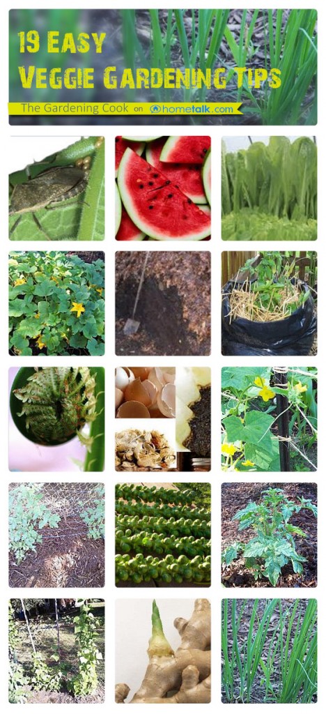 Vegetable Gardening Tips - 19 Ways to Get a Bumper Crop This Year