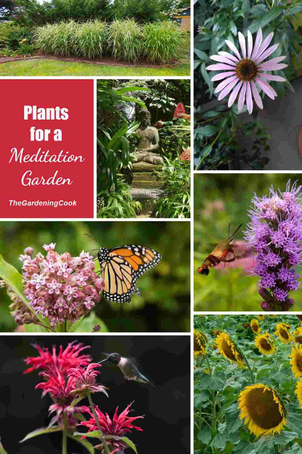 Meditation Garden Ideas - Creating a Backyard Meditation Space