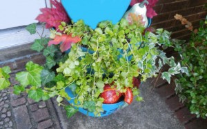 My Staggered Planter Gets a Facelift