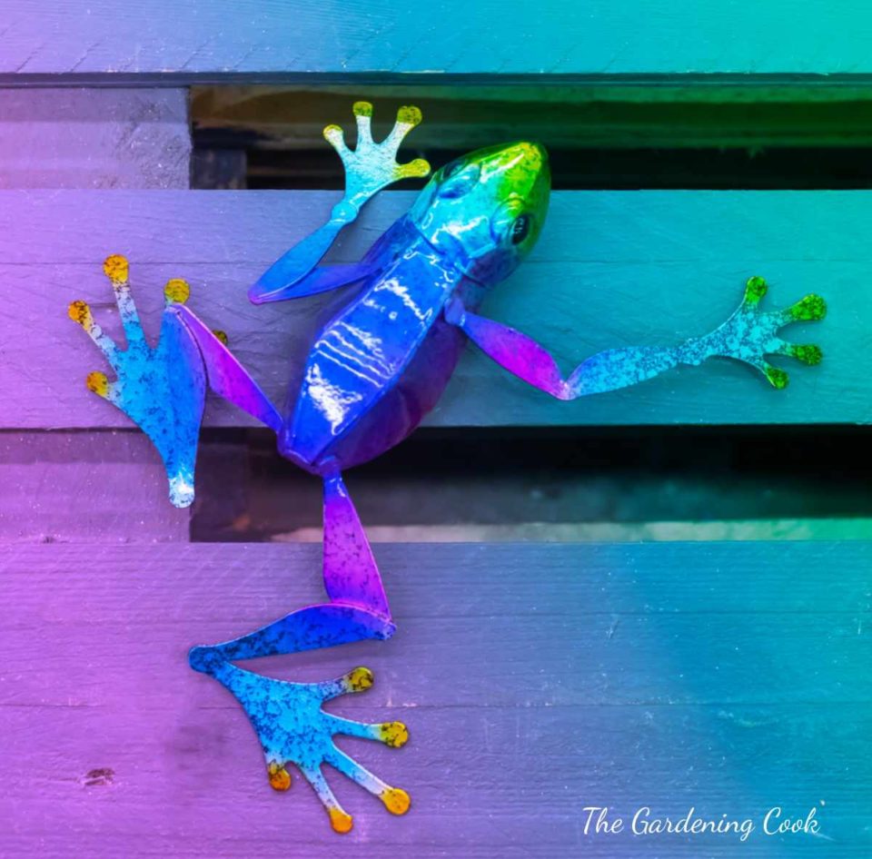 Frog Garden Decor - Frogs in the Garden - Cute Accents