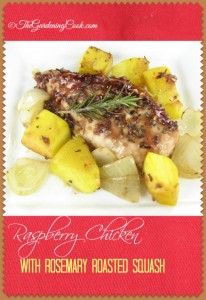 Raspberry Chicken with Roasted Rosemary Squash