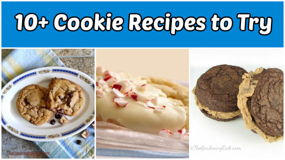 Dunk that sweet Treat - My Favorite Cookie Recipes
