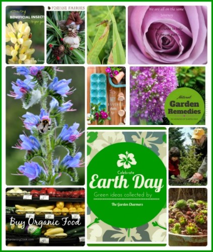 Earth Day Activities - Crafts, Food and Fun for April 22