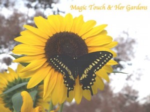 Swallowtail Nectar Plants - Add these to Attract Swallowtails