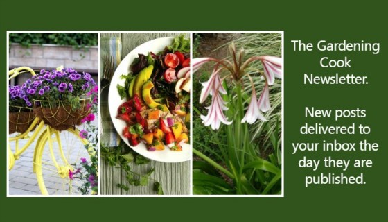 Gardening Advice, Tips and Tutorials for All Your Garden Questions