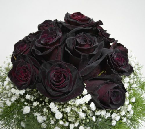 14 Rose Colors Meanings for a Thoughtful Bouquet