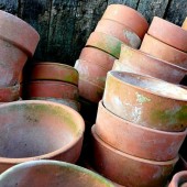 The Gardening Cook - Gardening, Cooking, DIY & More!