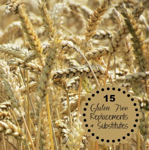 Gluten Free Replacements - 16 Wheat Free Food Substitutes