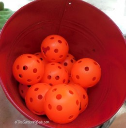 DIY Hose Guides - Easy Gardening Project