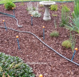 DIY Hose Guides - Easy Gardening Project
