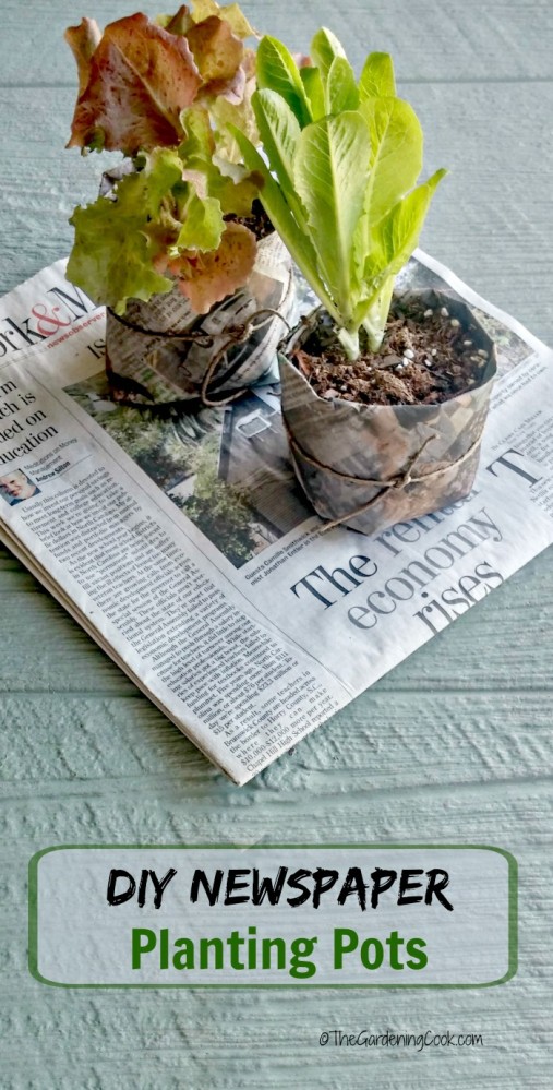 Newspaper Seed Pots are Fun and Easy to Make - The Gardening Cook