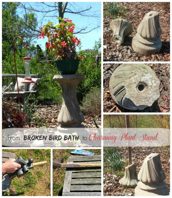 Recycled Bird Bath Becomes a Garden Plant stand
