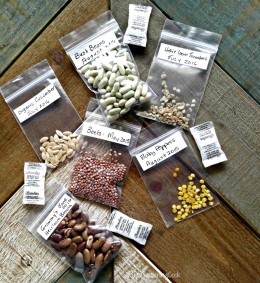 Growing Heirloom Seeds - Tips for Success