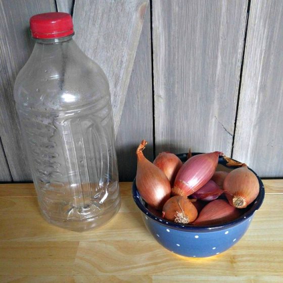 Vertical Onion Garden - Fun Kid's Gardening Project