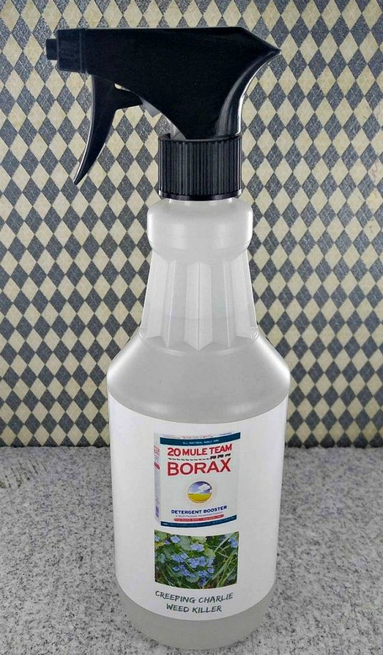 Borax Weed Killer for Creeping Charlie