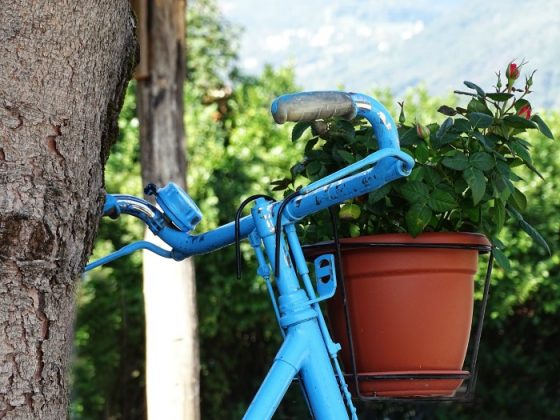 31 Fun and Whimsical Bicycle Planters for your Garden and Yard