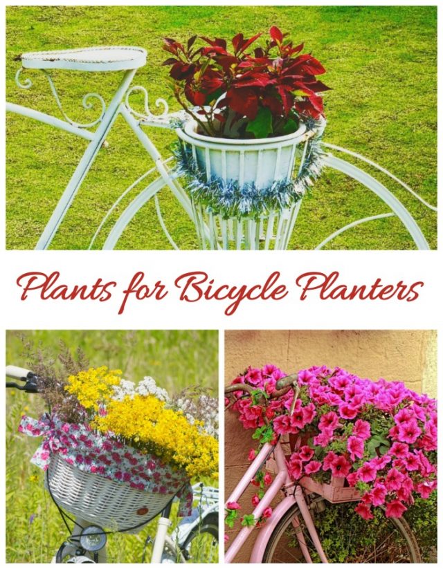 31 Fun and Whimsical Bicycle Planters for your Garden and Yard