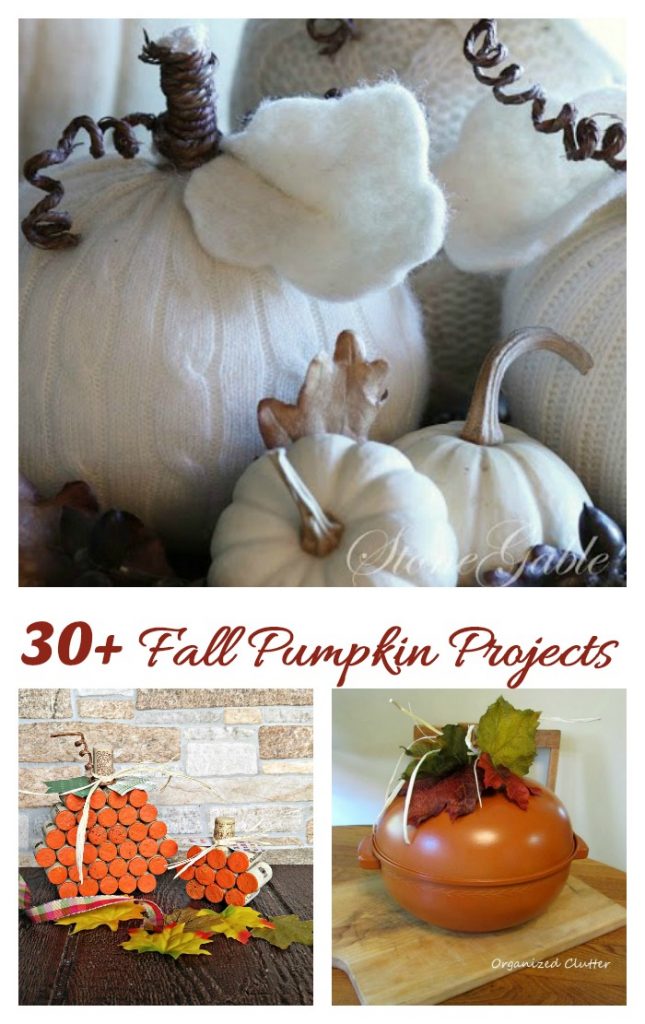Pumpkin Projects - Easy DIY Pumpkin Decor Ideas - The Gardening Cook