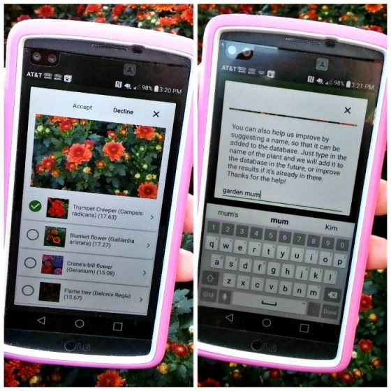 PlantSnap Mobile App - Tips and Tricks for Best Results