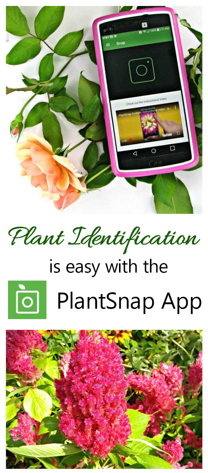 PlantSnap Mobile App Tips And Tricks For Best Results PlantSnap Mobile App Tips And Tricks For Best Results