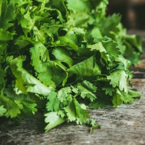 Herb Identification - How to Identify Herbs - Free Herb Gardening Printable