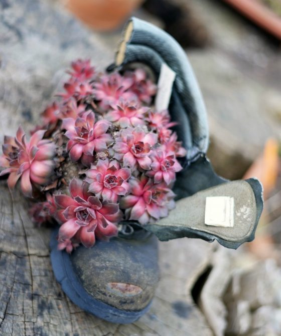 Shoe Planters - Recycled Footwear makes Great Boot Planters - (Updated)