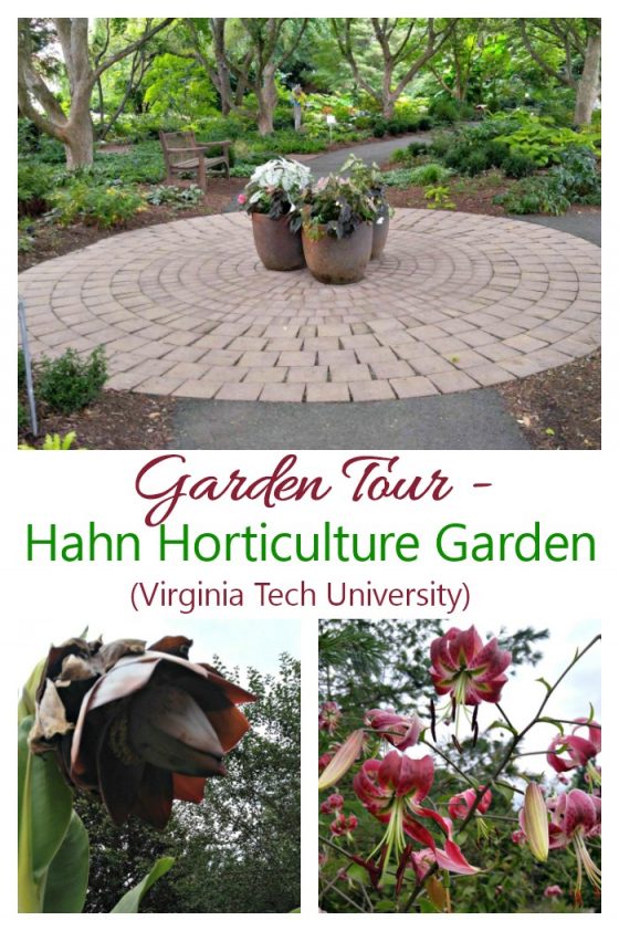 Hahn Horticulture Garden - Virginia Tech - Blacksburg, VA - Garden Tour
