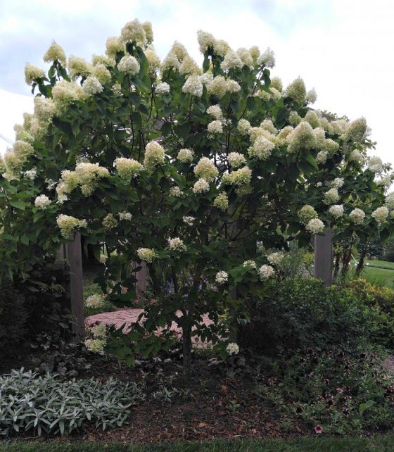 Hahn Horticulture Garden - Virginia Tech - Blacksburg, VA - Garden Tour