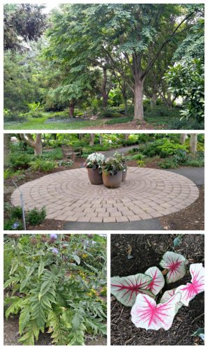 Hahn Horticulture Garden - Virginia Tech - Blacksburg, VA - Garden Tour