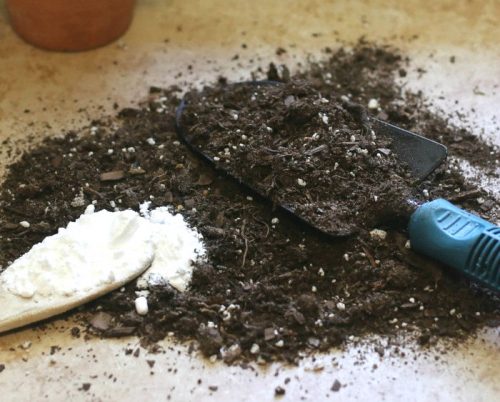 Baking Soda for Plants - 20 Clever Uses for Baking Soda in the Garden