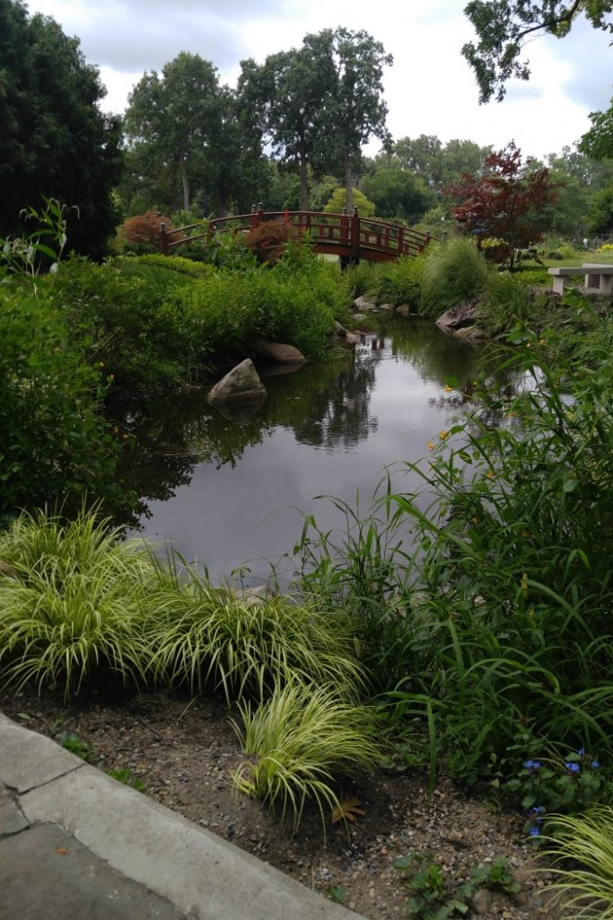 Wellfield Botanic Gardens - A Fun Filled Day in a Living Museum