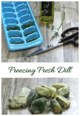 Growing Dill - Planting, Storing and Harvesting Dill Weed