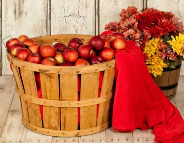 Tips for Fall Decorations - Natural and Easy Autumn Decor Ideas