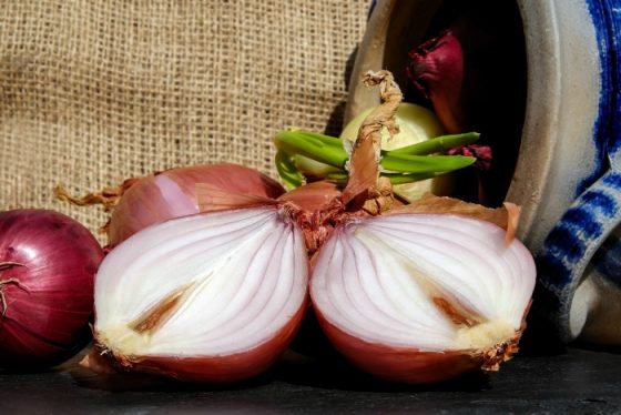Onion Varieties - Types of Onions and How to Use Them
