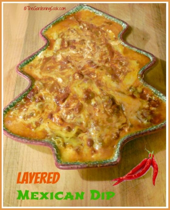 4 Layer Mexican Party Dip