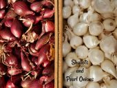 Shallots vs Onions - What is the Difference? and How to Use Them