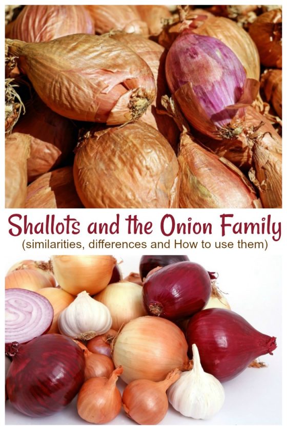 Shallots vs Onions - What is the Difference? and How to Use Them